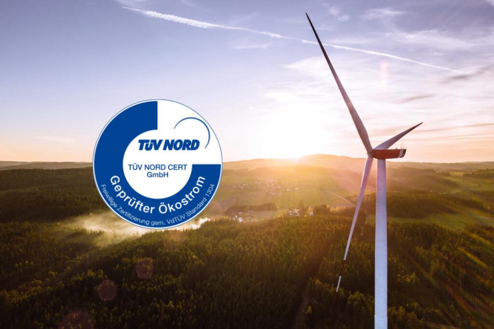 Ökostrom geht auch günstig | lekker Energie